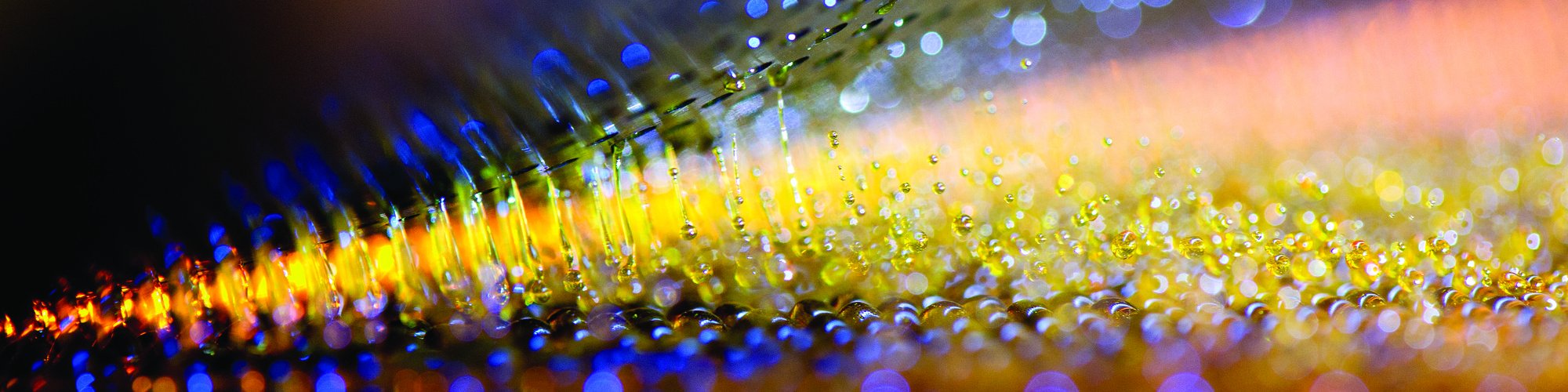 IPCO Germany als Arbeitgeber: Arbeitgeber mit Luft nach oben | kununu